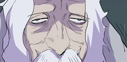 Mysterious Old Man | Tales of Demons and Gods Wikia | Fandom