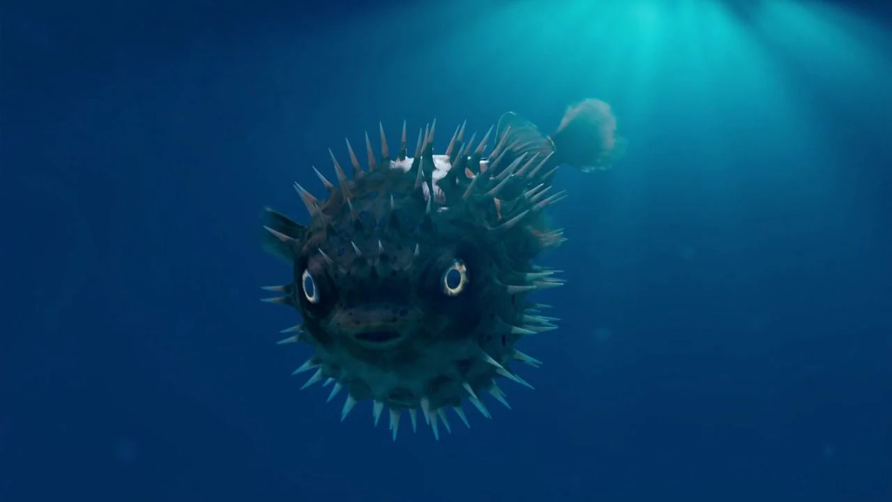 Puffer fish | Tardis | FANDOM powered by Wikia