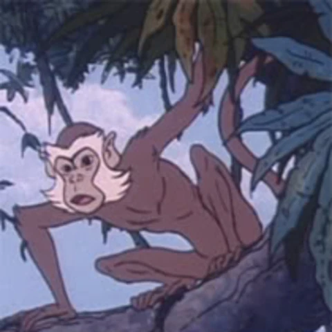 Nkima | Tarzan Wiki | Fandom