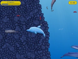 Dolphin Free | Tasty Planet Wiki | Fandom