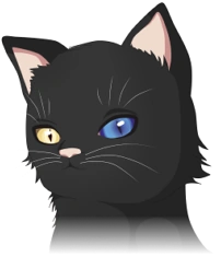 Characters | Team Ari Mario The Music Box Wikia | Fandom