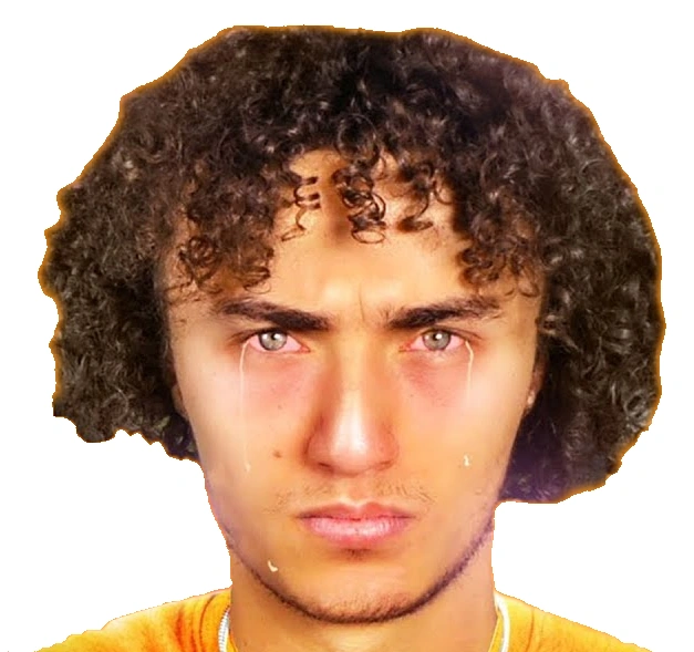 Kwebbelkop | Robust Wiki | Fandom