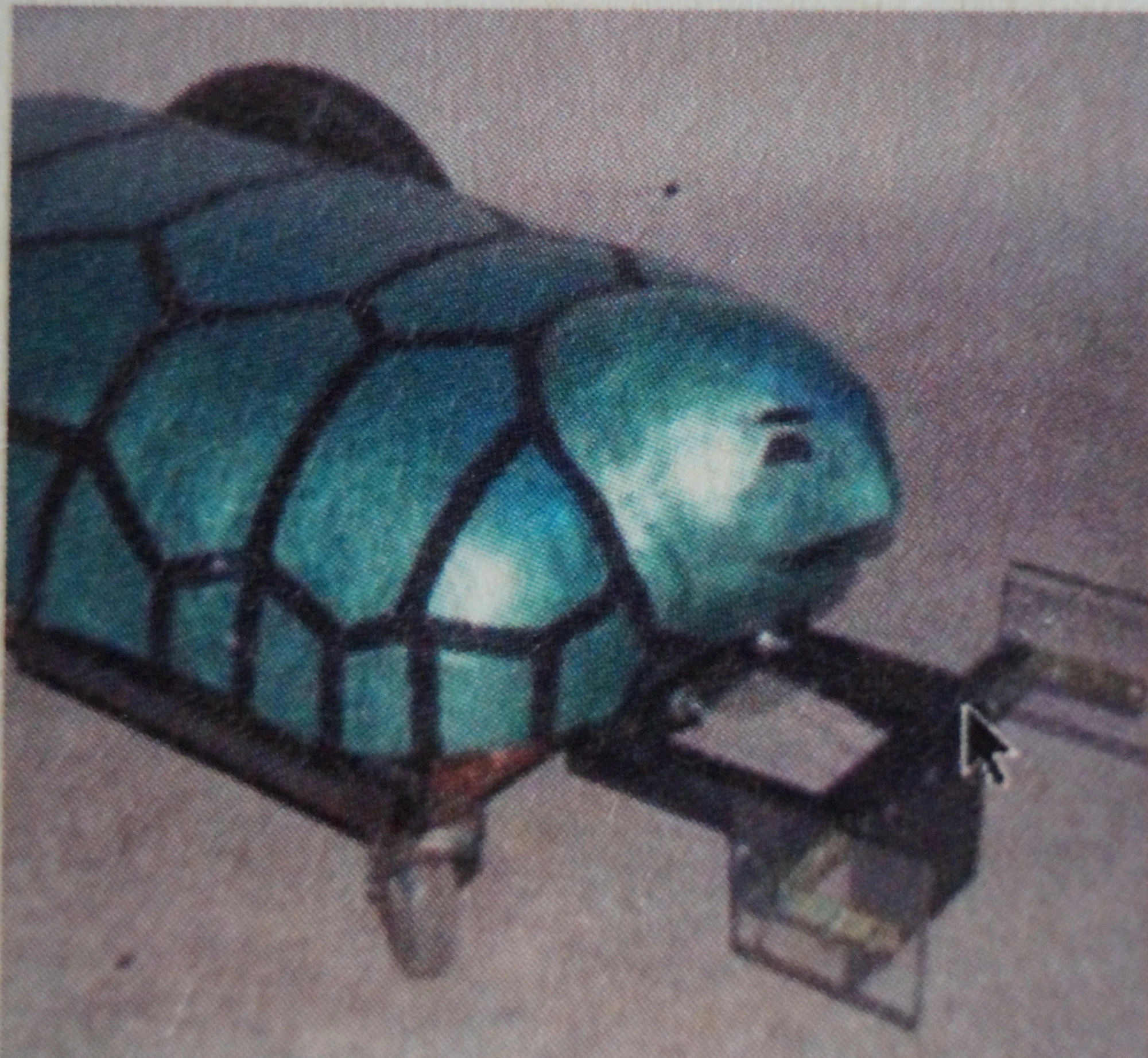 Terry Turtle | Techno Games Wiki | Fandom