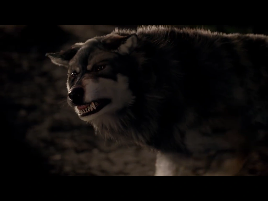 Wolf-Shifter | Teen Life as a Monster Wiki | Fandom