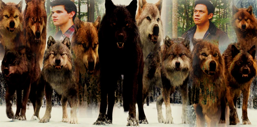 Image - Twilight-Saga-werewolves-twilight-series-37318403-867-429.jpg ...
