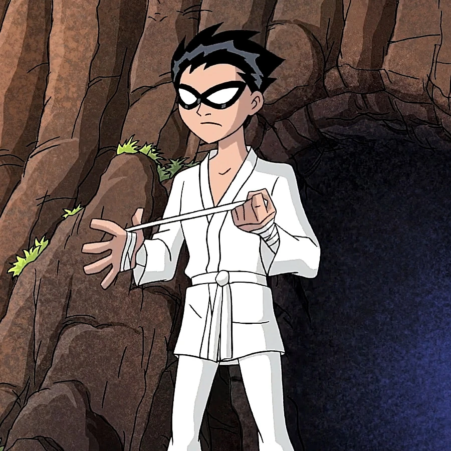 Image - Robin in training uniform.jpg | Teen Titans Wiki | FANDOM ...