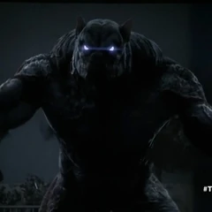 Werewolf | Teen Wolf Wiki | Fandom