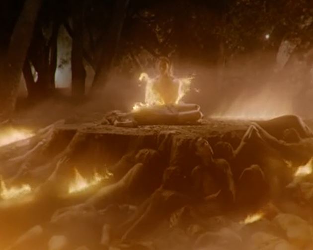 Image Teen Wolf Season 5 Episode 4 Condition Terminal Nemeton On Fire