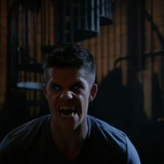 Ethan and Aiden | Teen Wolf Wiki | Fandom