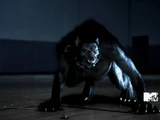 Category:Season 1 | Teen Wolf Wiki | Fandom