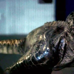 Kanima | Wiki Teen Wolf | Fandom