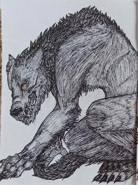Werewolf (Royal Breed) | Teen Wolf Fanon Wiki | Fandom
