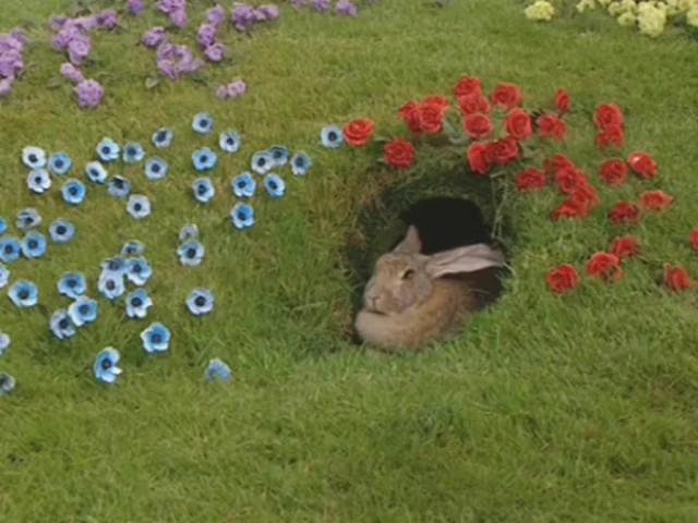 Immagine - Rabbit.jpg | Teletubbies Wiki | FANDOM powered by Wikia