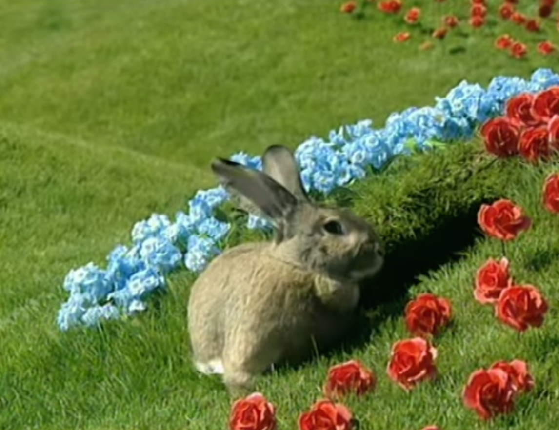 Image - Teletubbies Rabbit.png | Teletubbies Wiki | FANDOM powered by Wikia