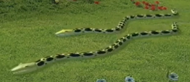 3D Edition Animals | Teletubbies Wiki | FANDOM powered by Wikia