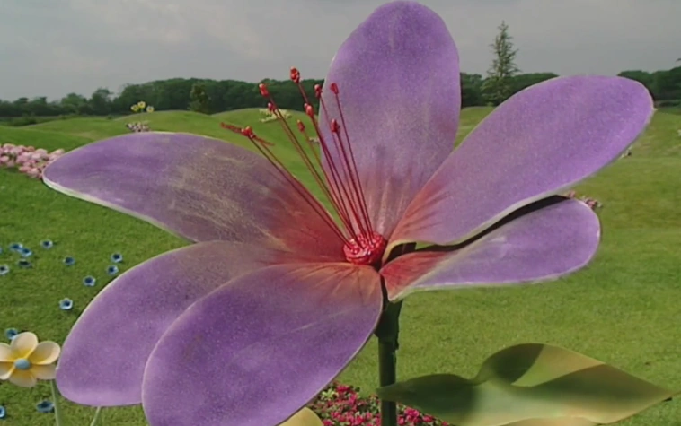 Making The Big Purple Flower | Teletubbies Wiki | FANDOM powered by Wikia
