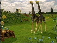 Animal Parade | Teletubbies Wiki | FANDOM powered by Wikia