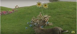 Rabbits | Teletubbies Wiki | FANDOM powered by Wikia