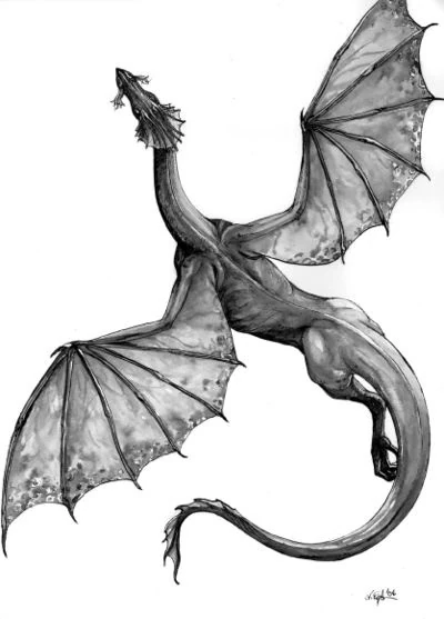 Temeraire | Temeraire Wiki | Fandom