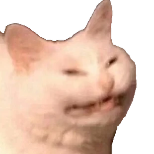 Ech | Terraria Earth Mod Wiki | Fandom