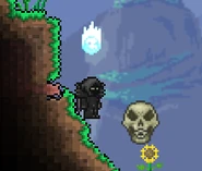 Bone Key | Terraria Wiki | Fandom