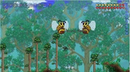 Queen Bee | Terraria Wiki | Fandom
