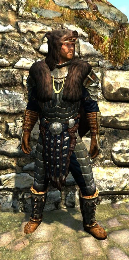 Heroic Stormcloak Armor (Immersive Armors) | The Elder Scrolls Mods ...