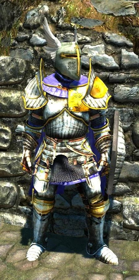 Paladin Armor (Immersive Armors) | The Elder Scrolls Mods Wiki | FANDOM ...