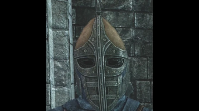 The Windhelm Guard | The Elder Scrolls Mods Wiki | Fandom