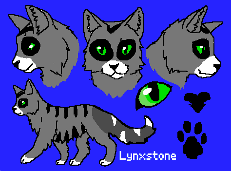 Lynxstone | The Four Clans RP Wiki | Fandom