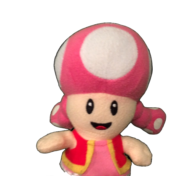 Toadette | ThatMarioGuy Wiki | Fandom