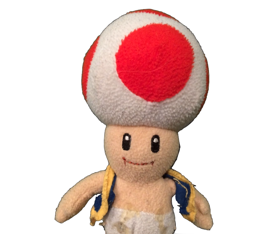 Toad | ThatMarioGuy Wiki | Fandom
