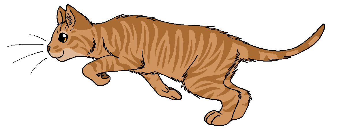 Birchfall | The 5 warrior Clans Wiki | Fandom