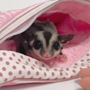 Odeng and Eomuk | BTS Wiki | Fandom