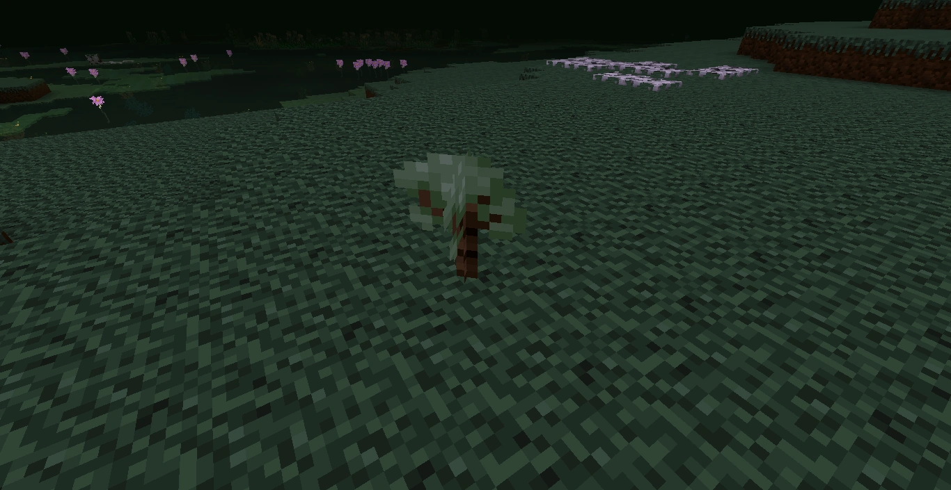 Sap Tree Sapling | The Betweenlands Wiki | Fandom