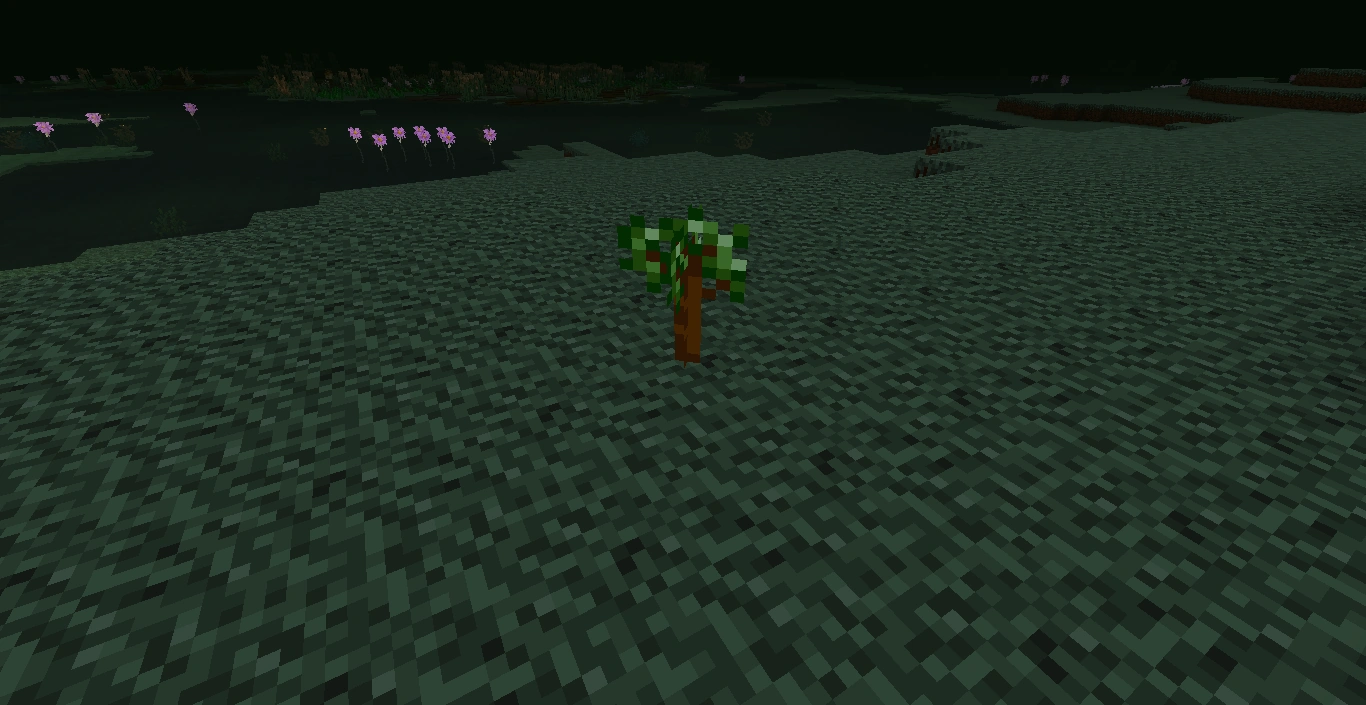 Rubber Tree Sapling | The Betweenlands Wiki | Fandom