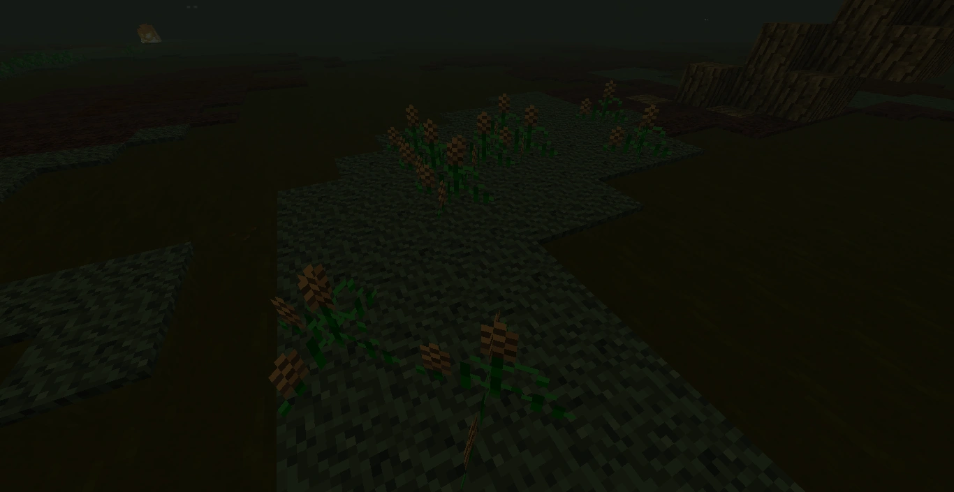 Cattail | The Betweenlands Wiki | FANDOM powered by Wikia