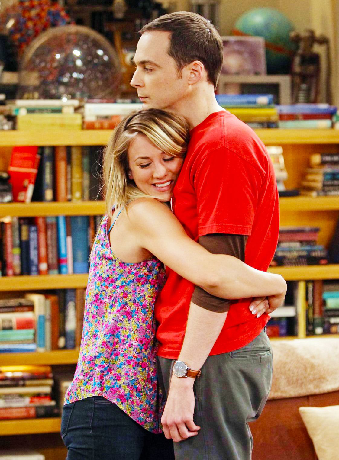 The Hofstadter Insufficiency Wiki The Big Bang Theory Fandom