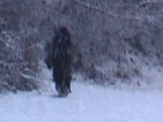 Hibagon | The Bigfoot Wiki | Fandom