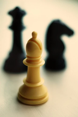 Bishop | The Chess Wiki | Fandom