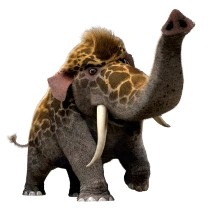 Girelephant | The Croods Wiki | Fandom