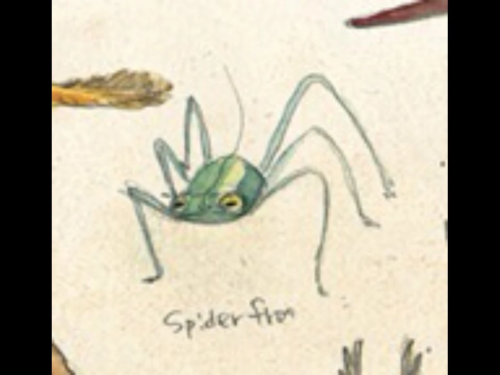 Spider Frog | The Croods Wiki | FANDOM powered by Wikia
