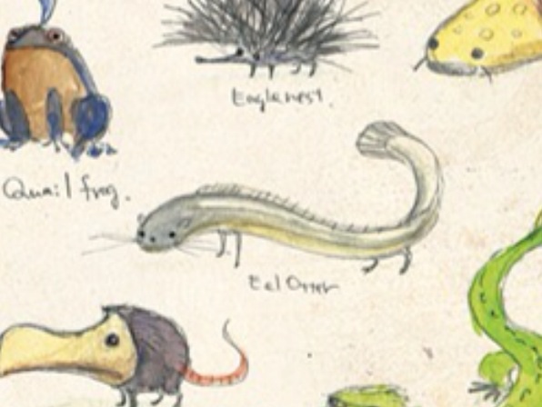 Eel Otter The Croods Wiki Fandom Powered By Wikia