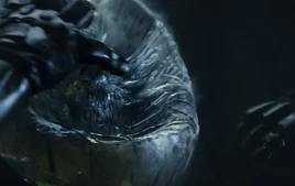 Sean Fifield | The Dead Meat Wiki | Fandom