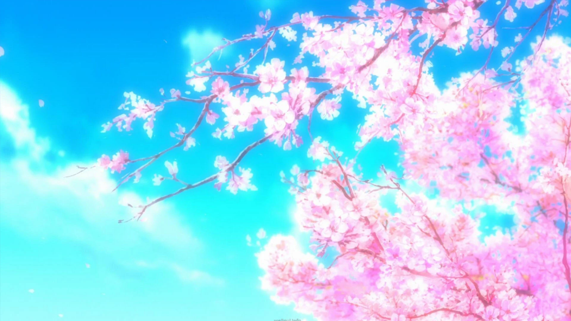 Genki dere | Fandom