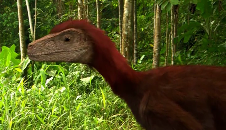 Pyroraptor | Dinosaur Planet Wiki | Fandom