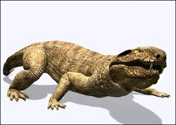 Notosuchus | Dinosaur Planet Wiki | Fandom