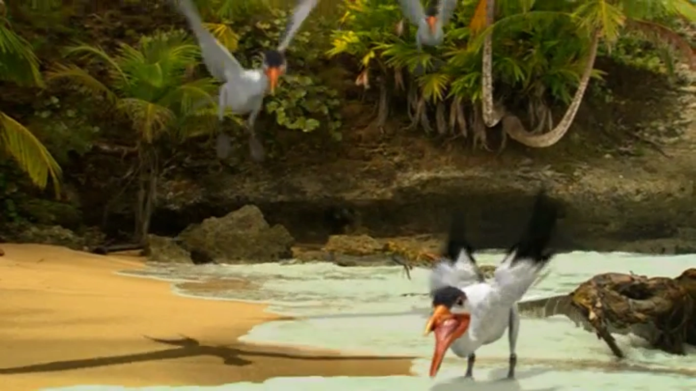 Ichthyornis | Dinosaur Planet Wiki | Fandom