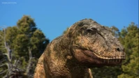 Daspletosaurus | Dinosaur Planet Wiki | Fandom