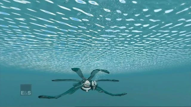 The Future Is Wild (fulldome show) | The Future is Wild Wiki | Fandom